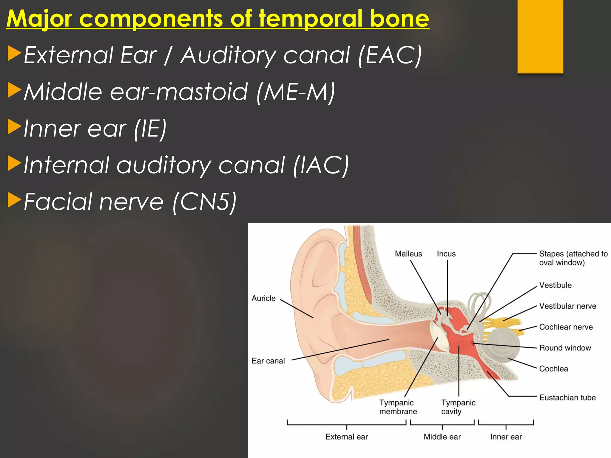Temporal bone Radiologic anatomy.. In depth | PPT
