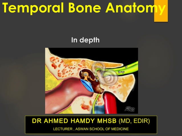 Temporal bone Radiologic anatomy.. In depth | PPT