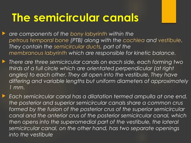 Temporal bone Radiologic anatomy.. In depth | PPT