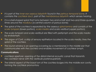 Temporal bone Radiologic anatomy.. In depth | PPT