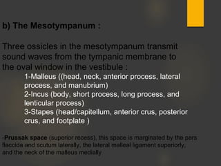 Temporal bone Radiologic anatomy.. In depth | PPT