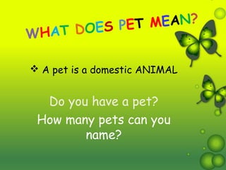 What does pet mean? | PPT