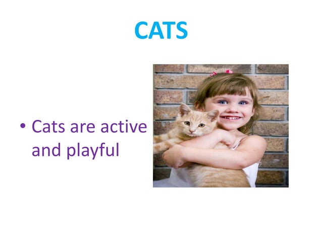 Pets | PPT