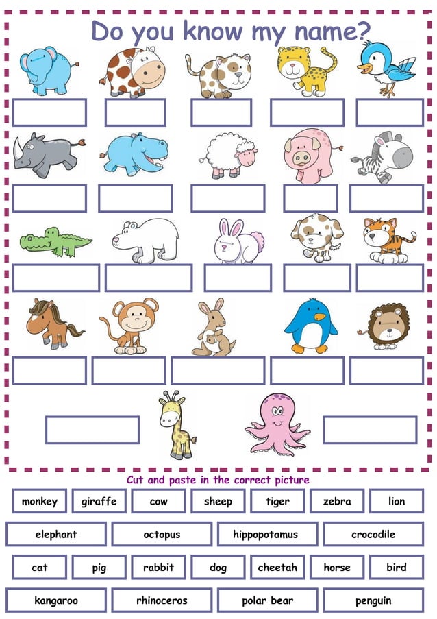Pets - worksheet | DOC