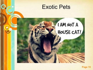 ESL Pets Vocabulary and Grammar Lesson | PPT