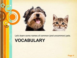 ESL Pets Vocabulary and Grammar Lesson | PPT