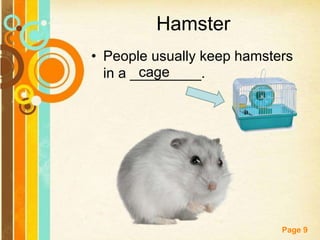 ESL Pets Vocabulary and Grammar Lesson | PPT