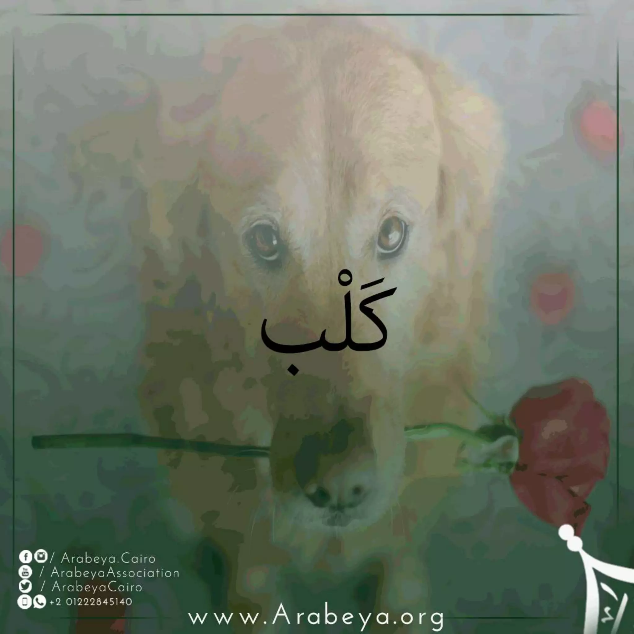 Pets in Arabic language الحيوانات الأليفة في اللغة العربية | PPSX