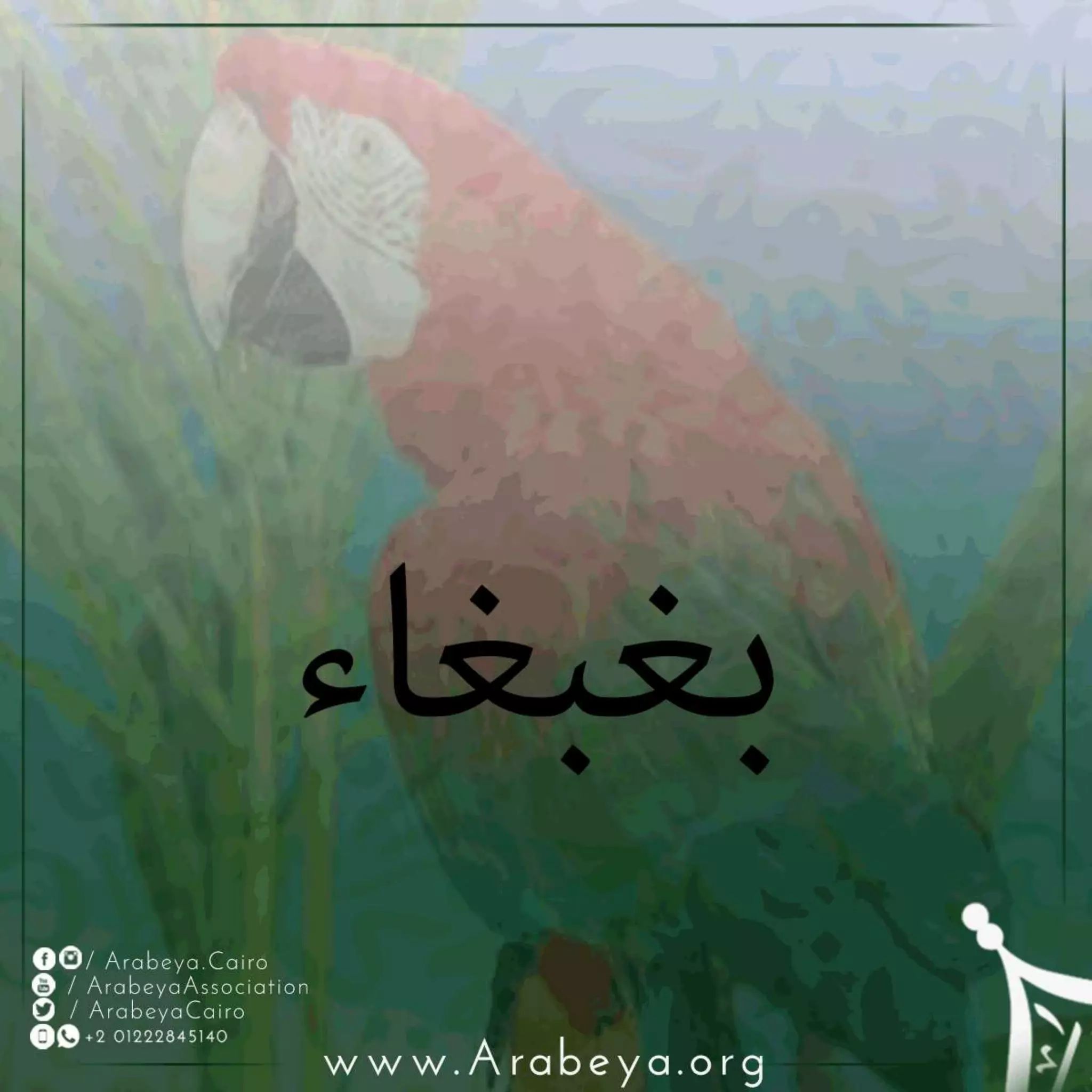 Pets in Arabic language الحيوانات الأليفة في اللغة العربية | PPSX