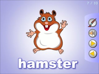 Pets ppt-flashcards-fun-activities-games-games-picture-dict 47196 | PPT