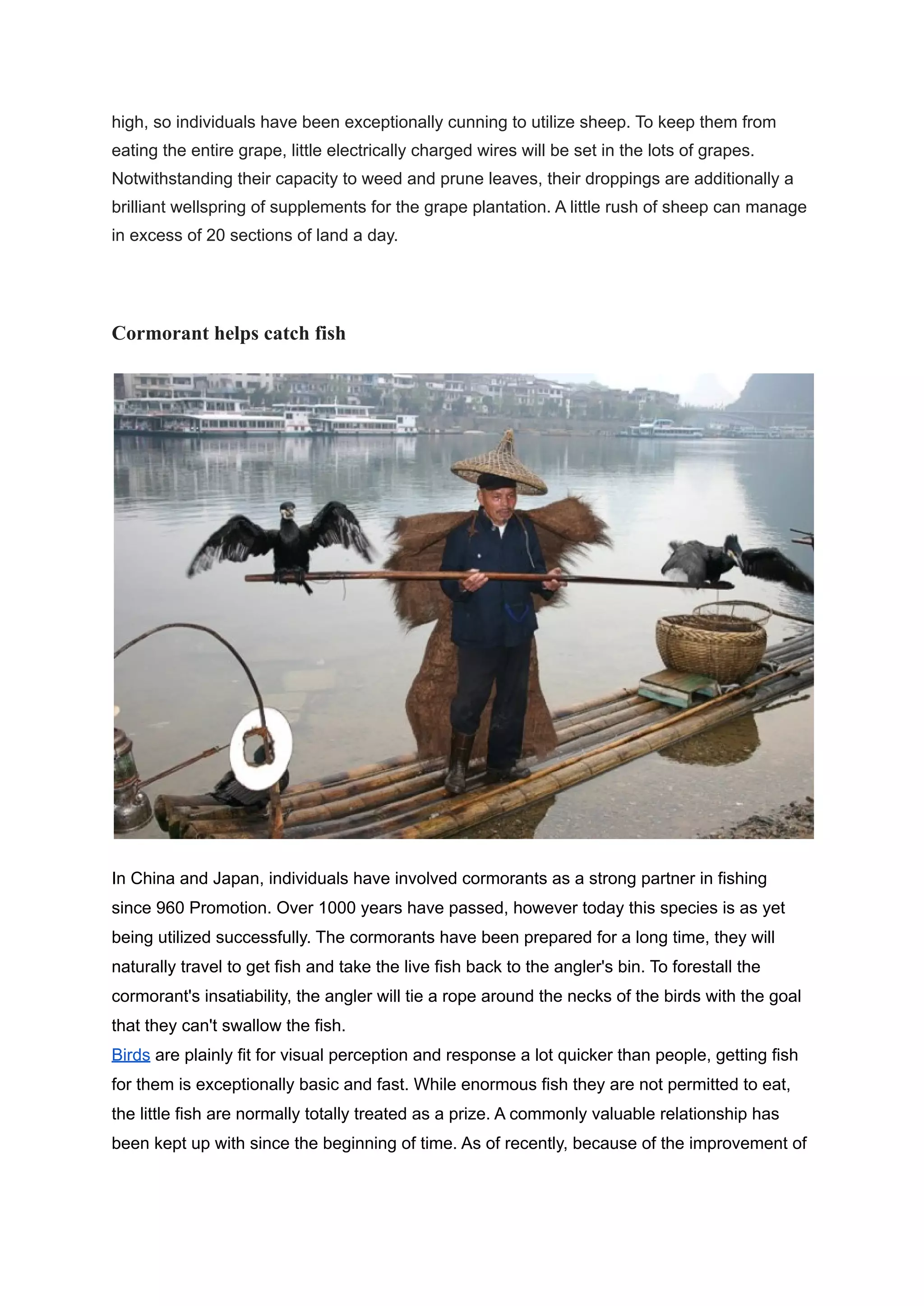 Pets and animals training.pdf