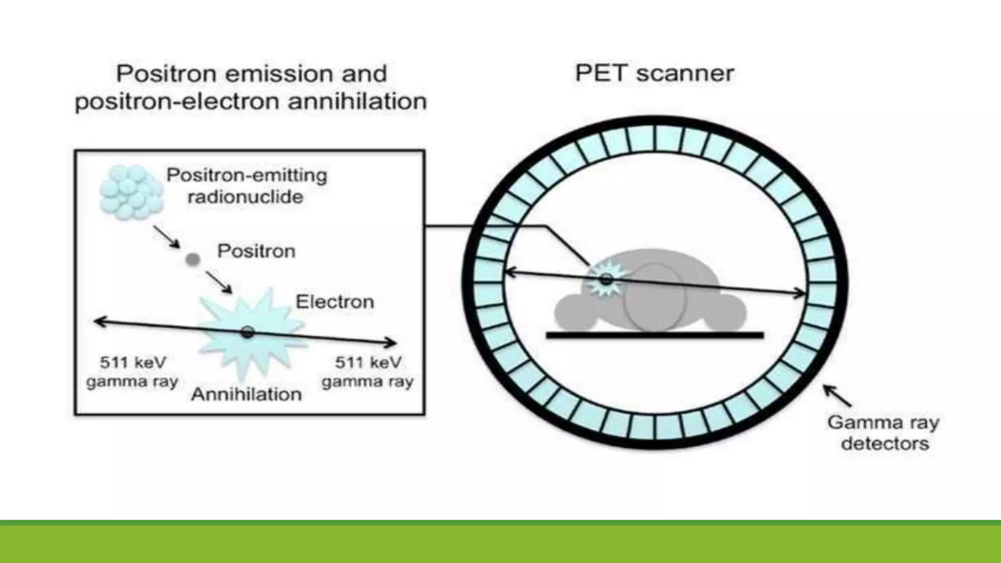 Pet scanning.pptx