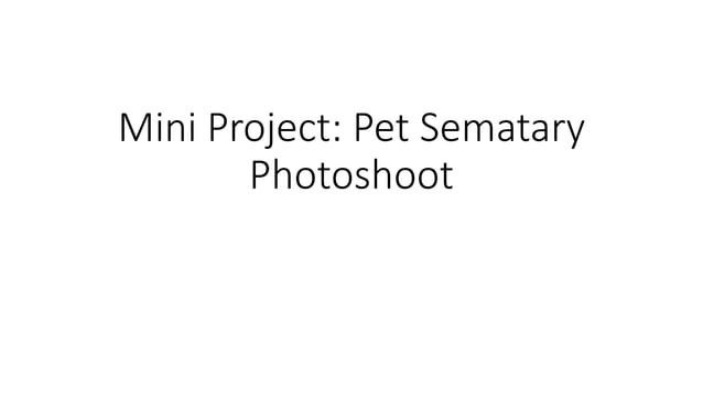 Pet Sematary Photoshoot.pptx | Free Download