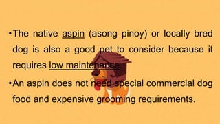 Pets for the Home | PPTX