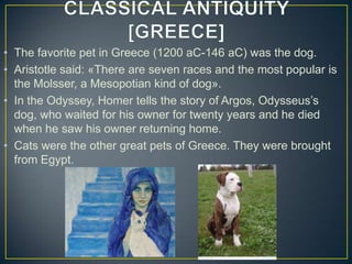 Pets in the past (1) | PPTX
