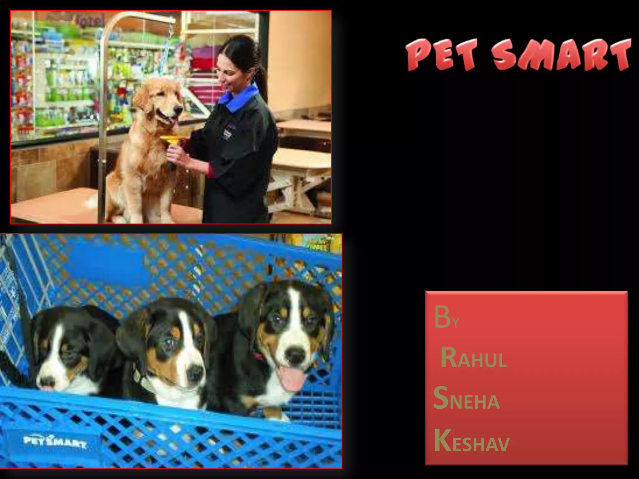 Petsmart ppt in rms by rahul ,sneha, keshav | PPTX