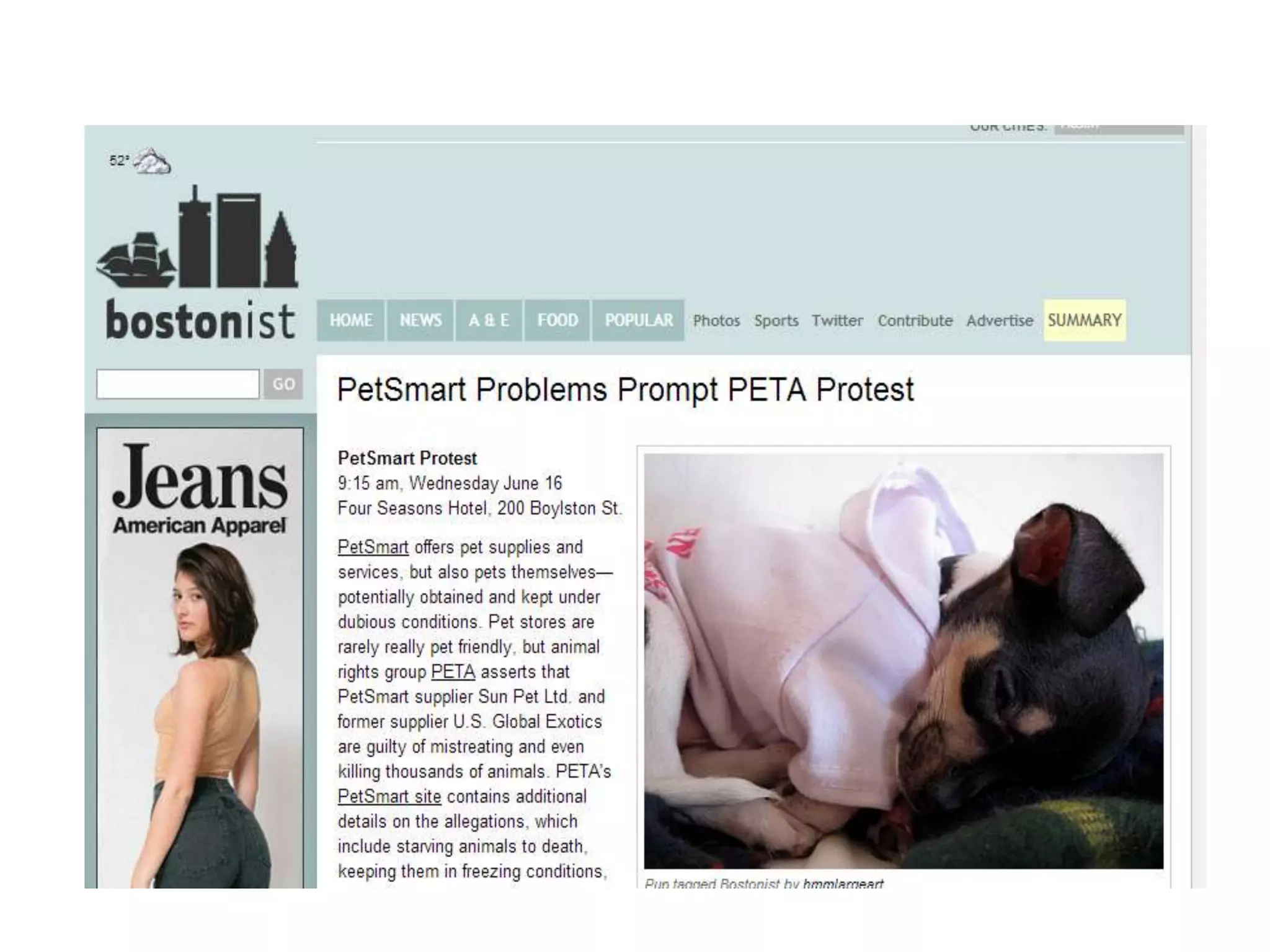 Petsmart ppt in rms by rahul ,sneha, keshav | PPTX