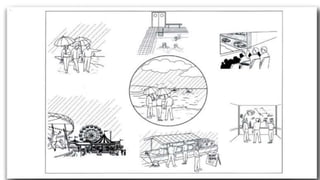 Pet speaking test | PPT