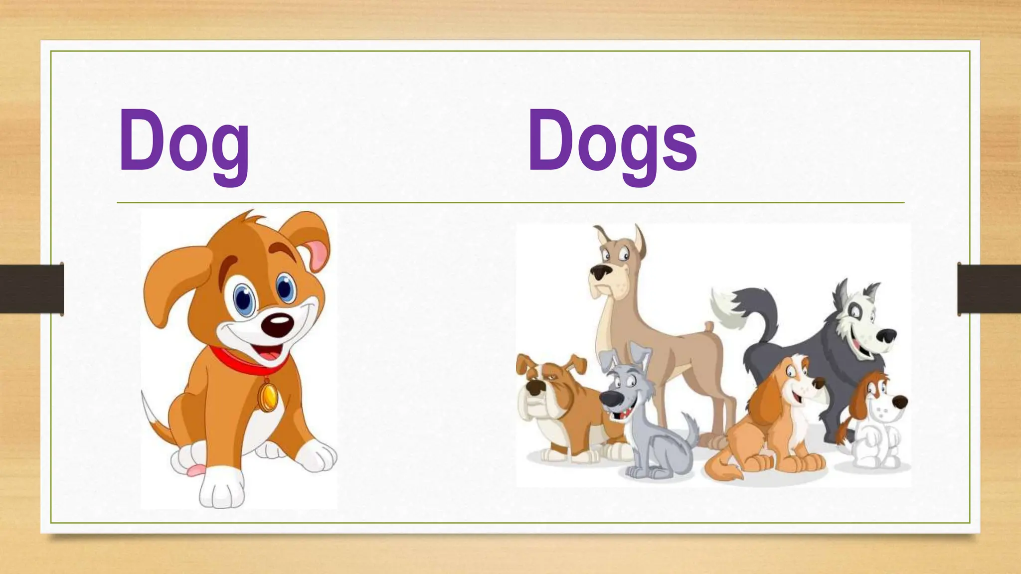 How to make plural form of nouns (pets) .pptx
