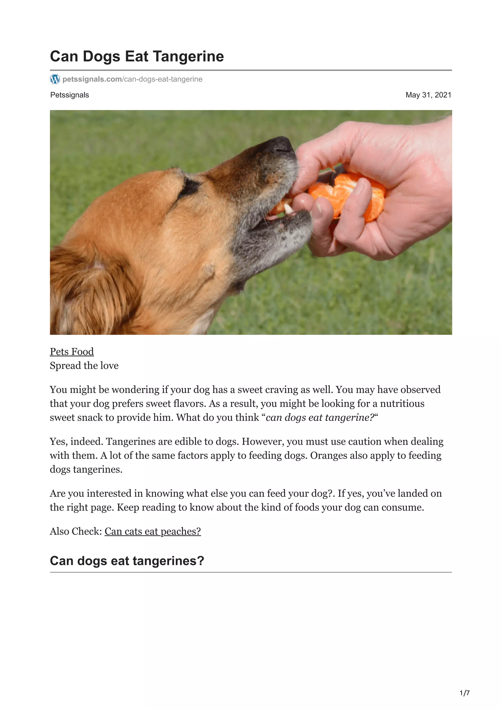 Can Dogs Eat Tangerine | PDF | Veterinary Medicine | Pets