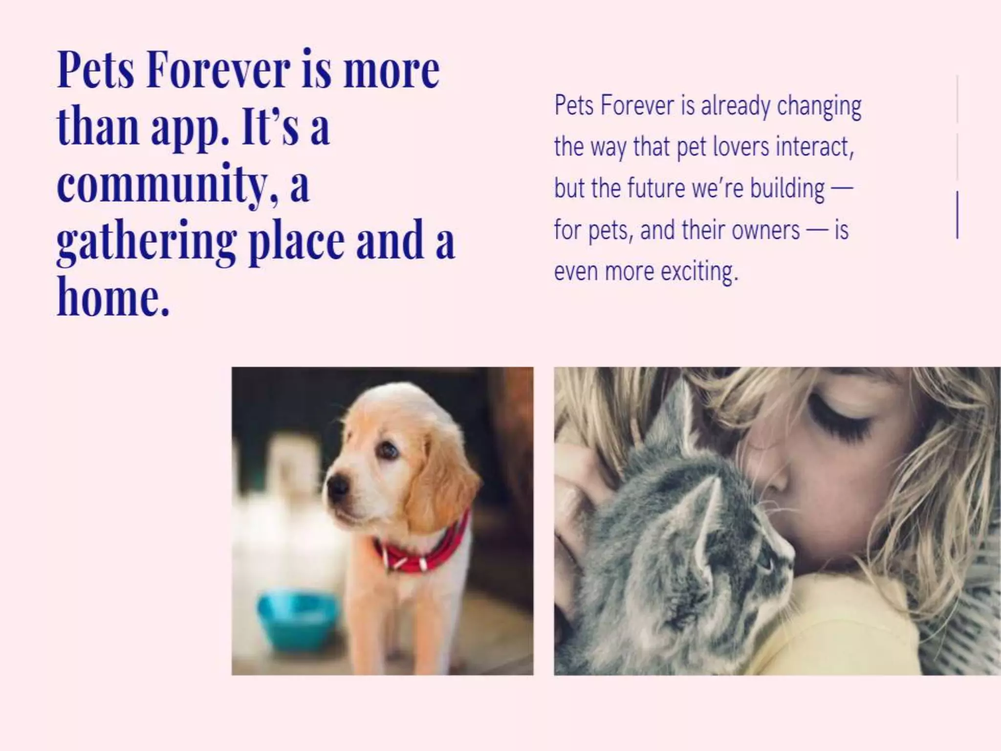 Pets social media influencer | PPTX