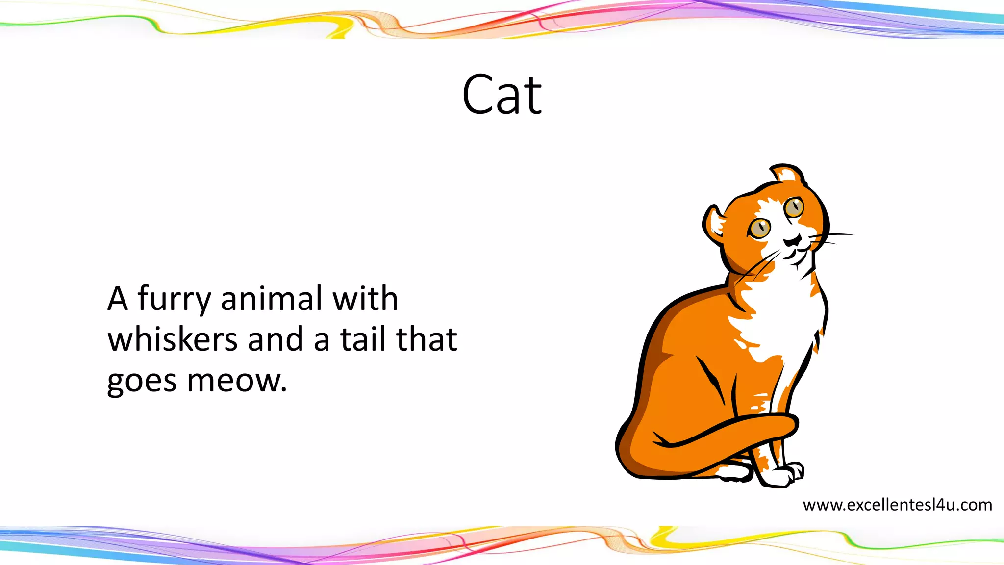 ESL pets vocabulary flashcards | PDF