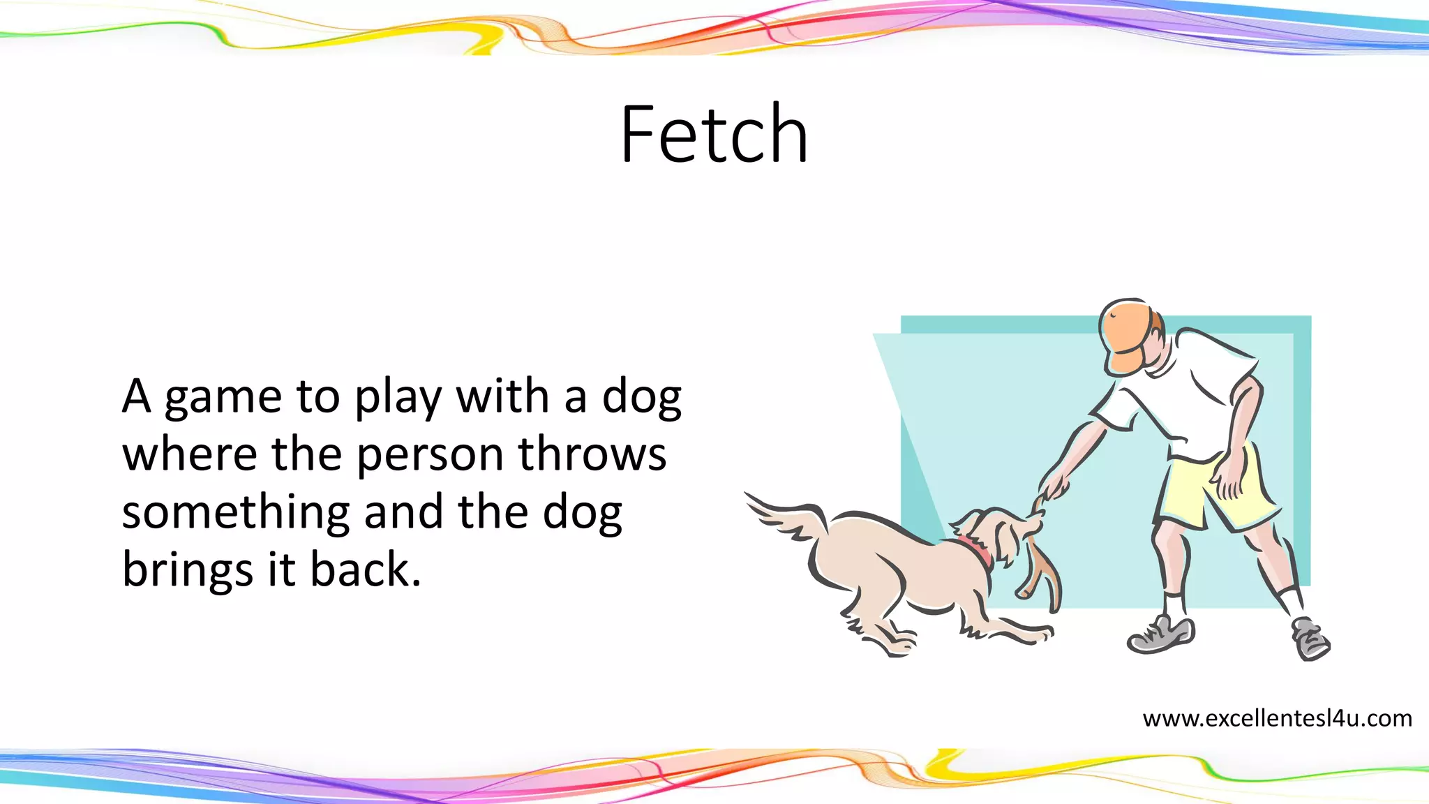 ESL pets vocabulary flashcards | PDF