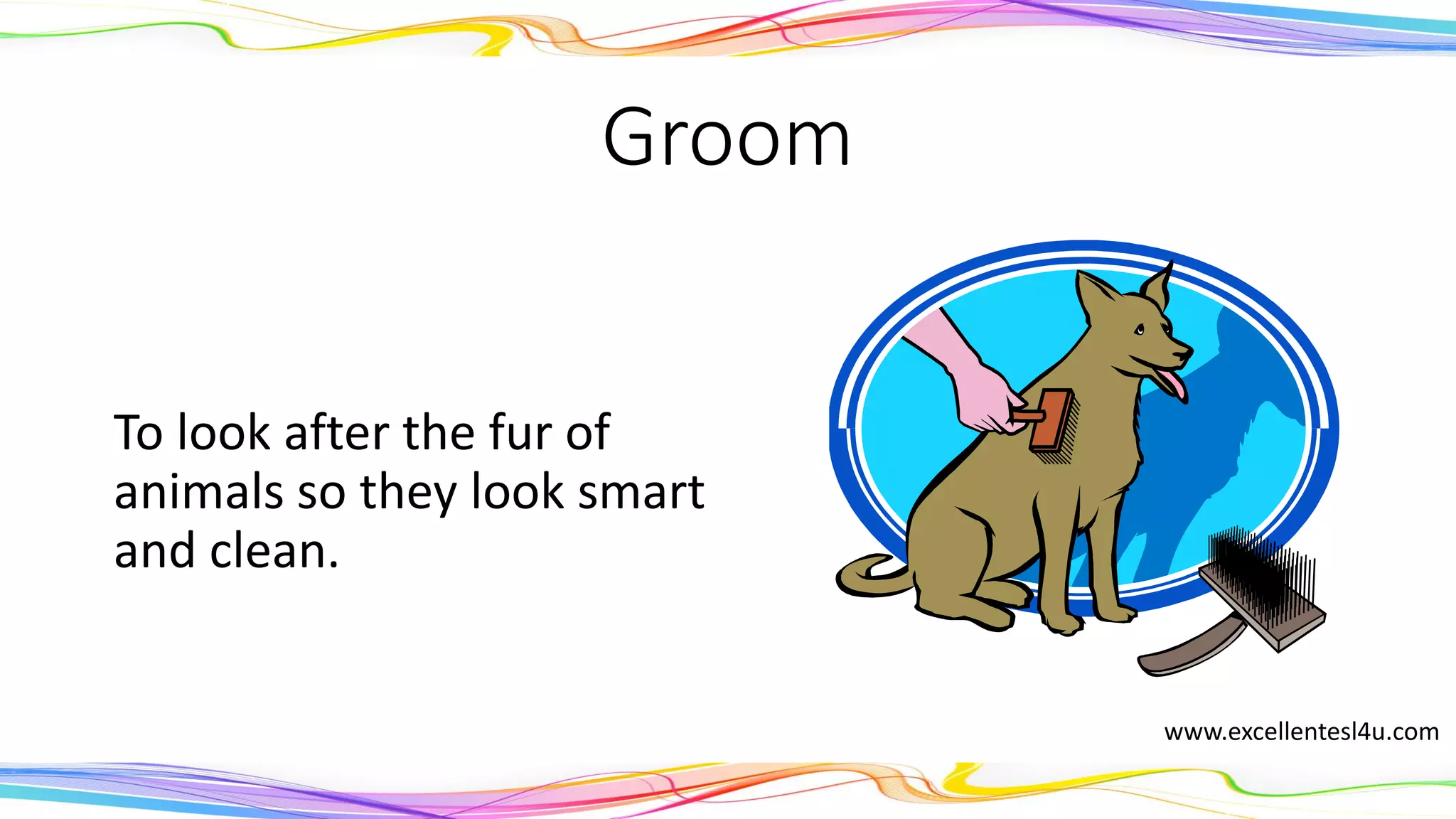 ESL pets vocabulary flashcards | PDF
