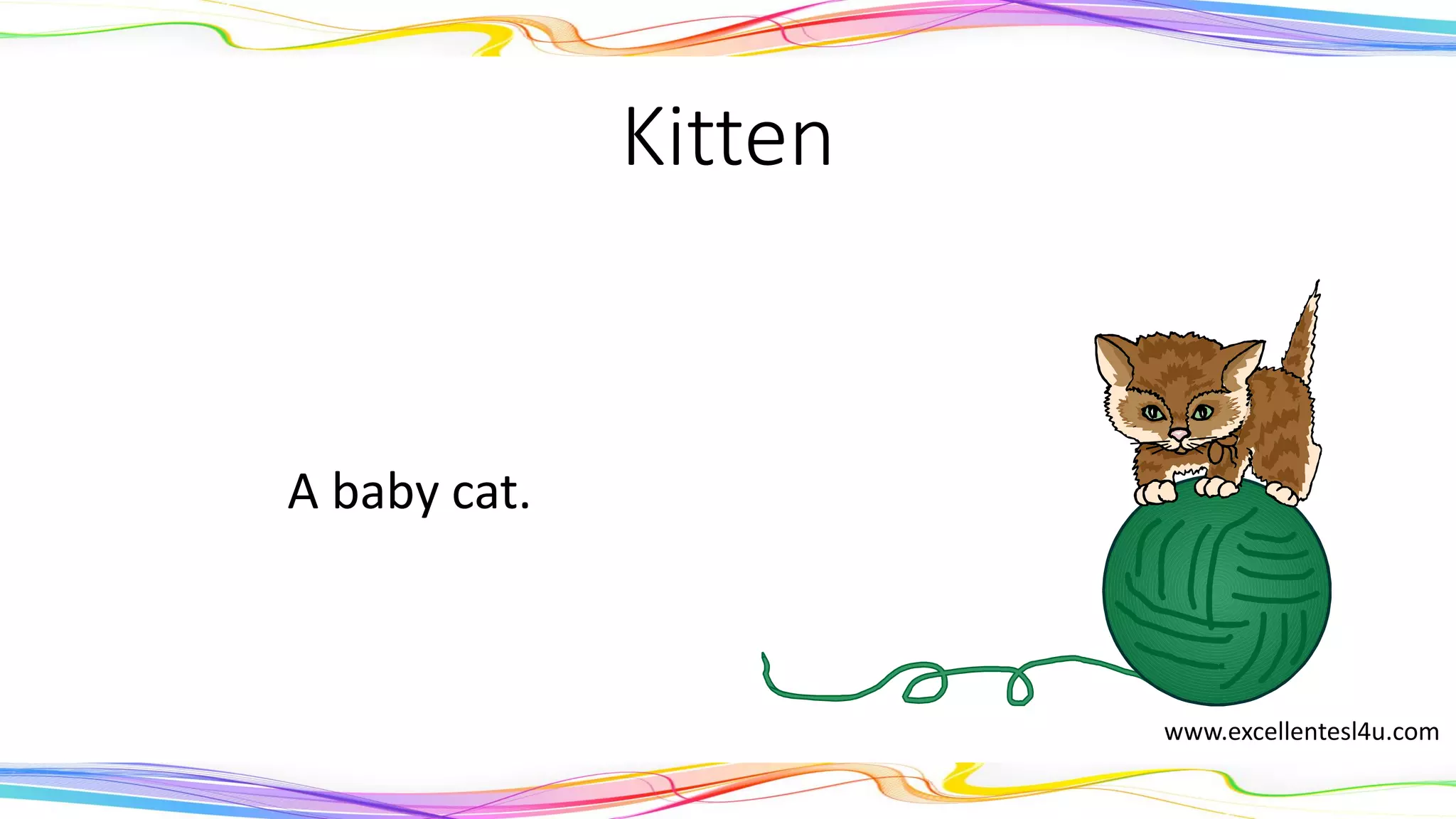 ESL pets vocabulary flashcards | PDF