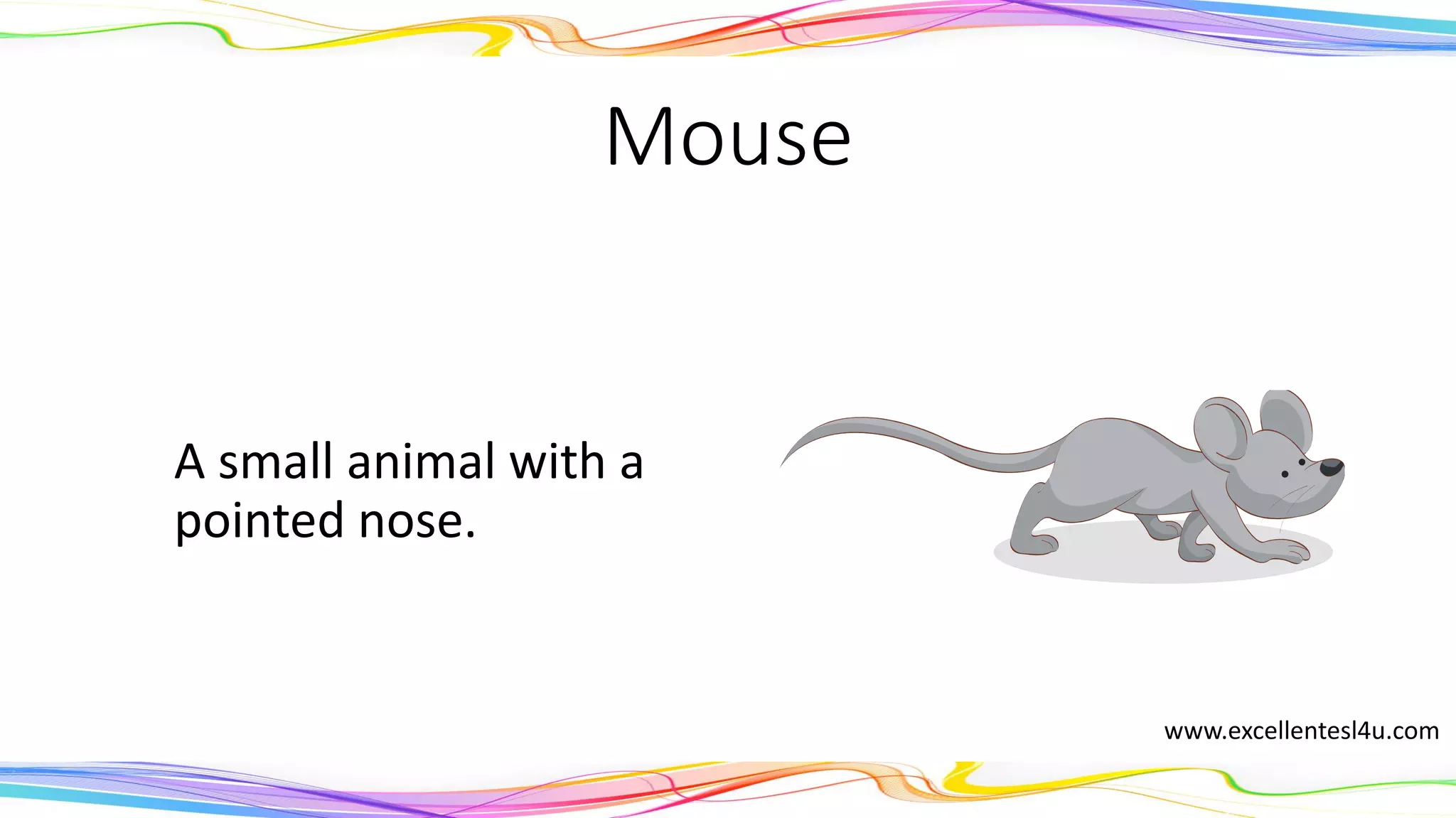 ESL pets vocabulary flashcards | PDF