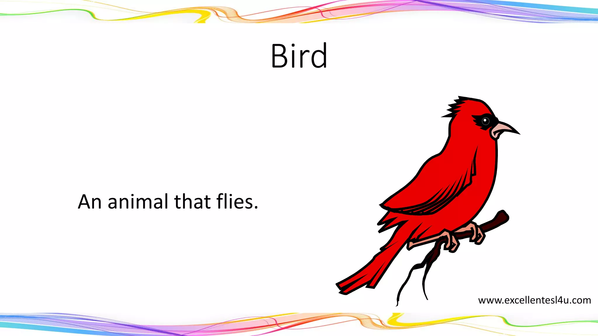 ESL pets vocabulary flashcards | PDF
