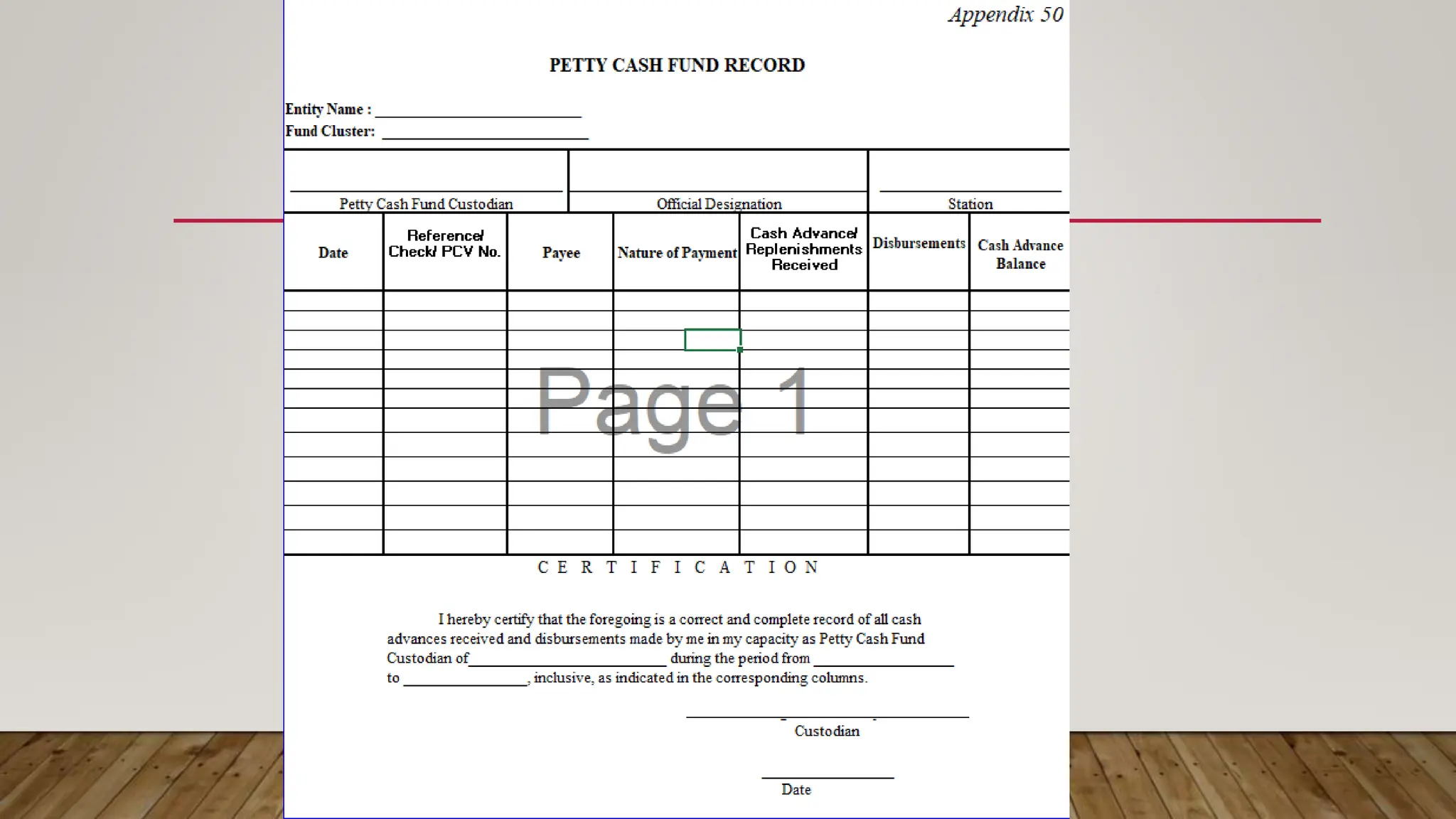 PETTY CASH FUND - GOVERNMENT ACCOUNTING.pptx