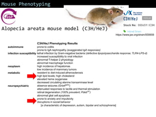 Comorbidities Present in the Alopecia Areata Registry, Biobank ...