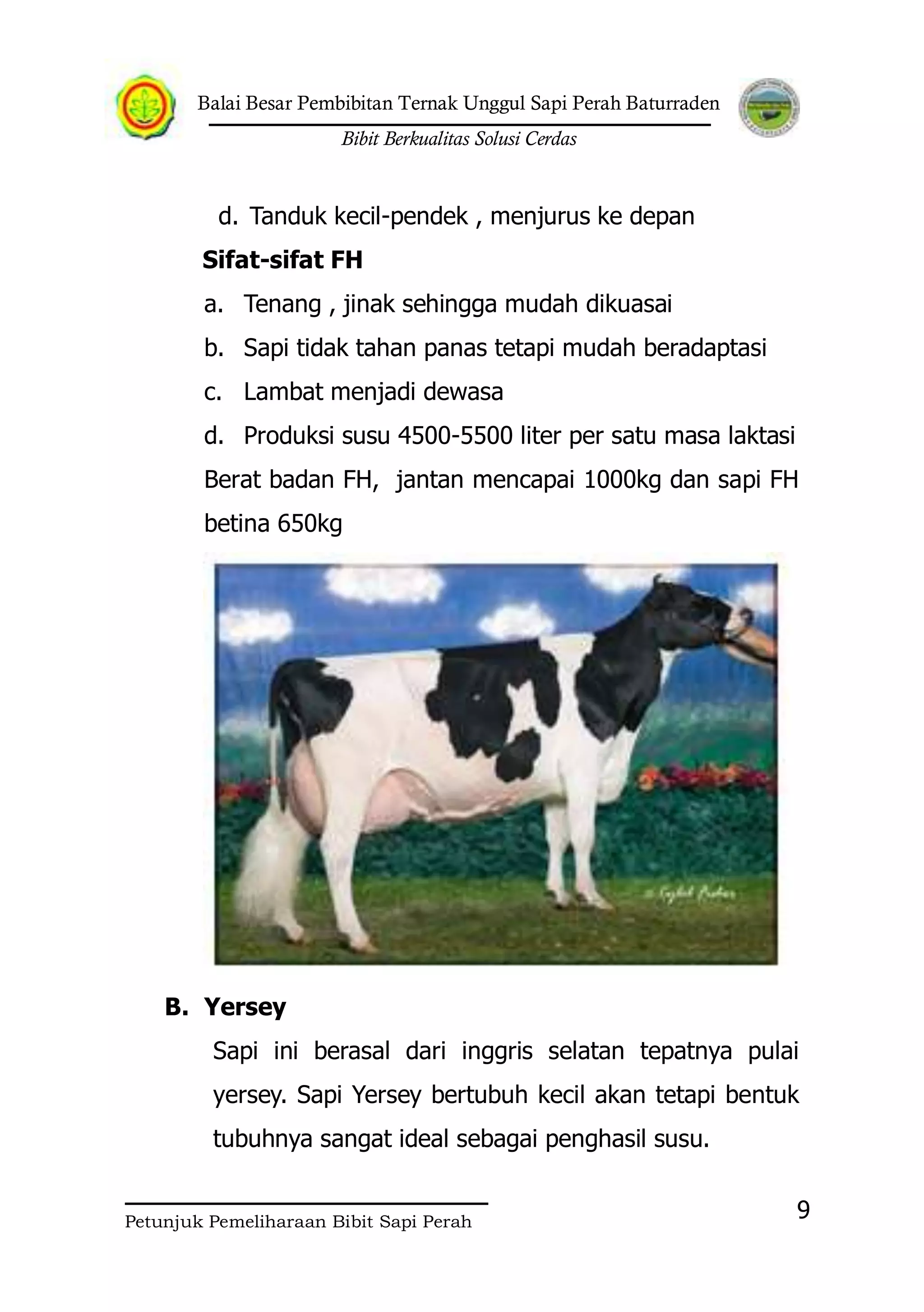 Petunjuk pemeliharaan-sapi-perah | PDF