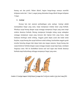 Petunjuk evolusi | PDF