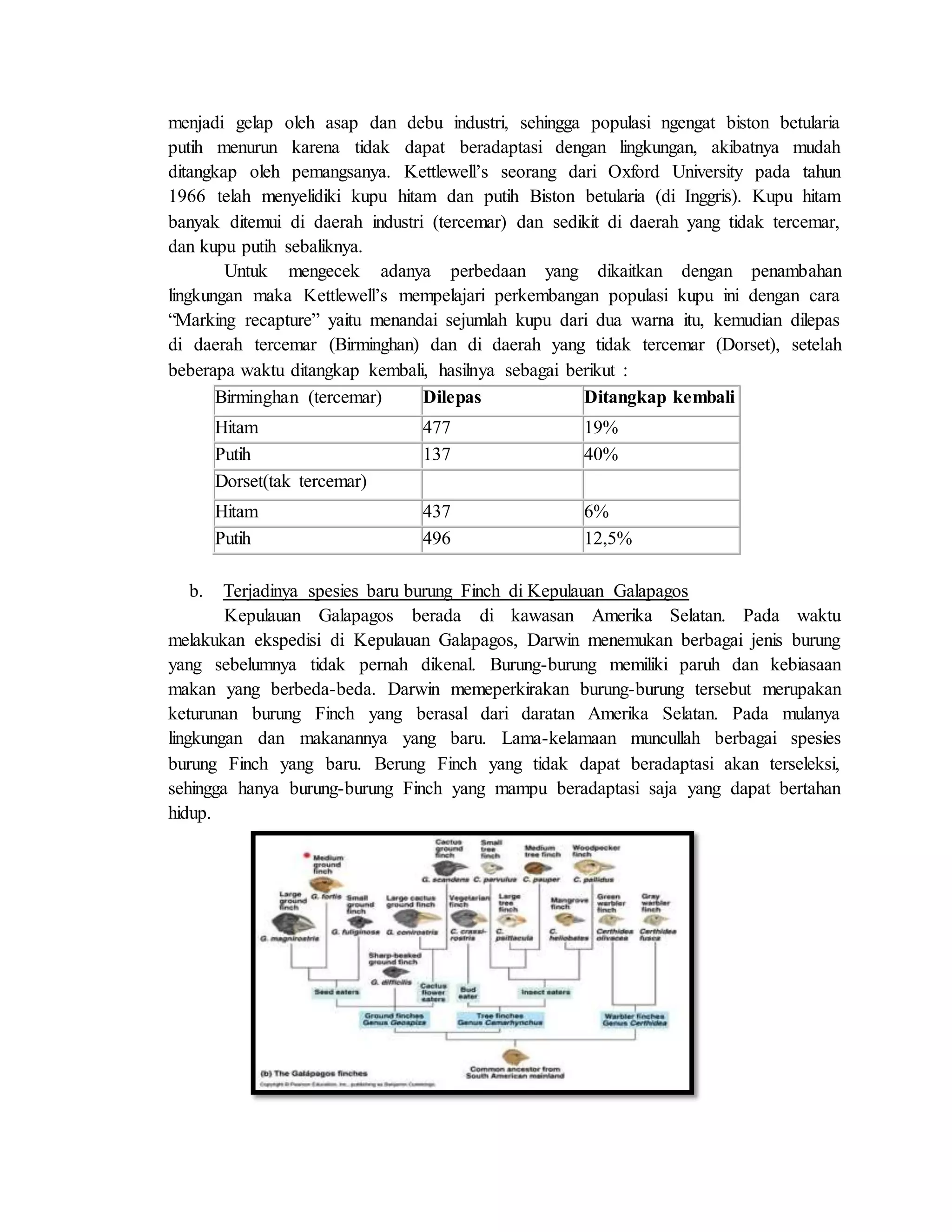 Petunjuk evolusi | DOCX