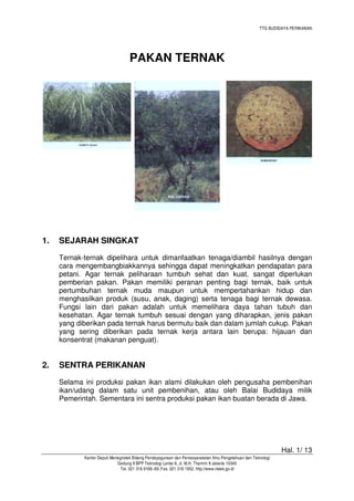 Pedoman Pakan Ternak | PDF