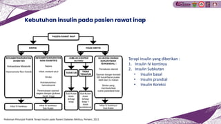 Petunjuk Praktis Terapi Insulin Pada Pasien Diabetes Melitus.pdf