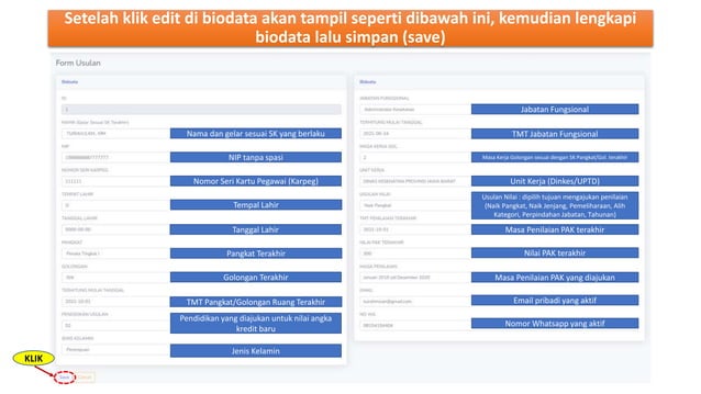 PETUNJUK_TEKNIS_APIKES_REVISI (2).pptx