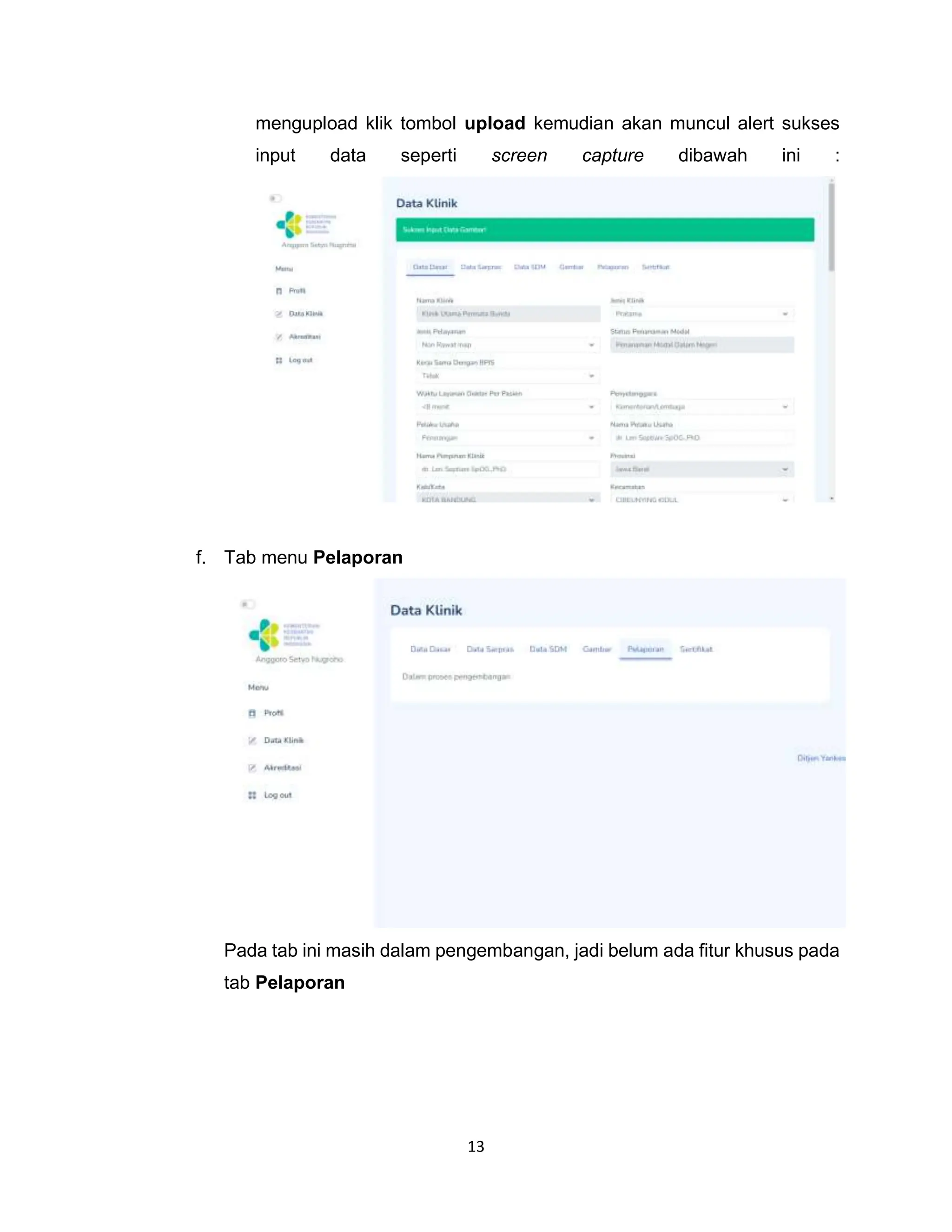 Petunjuk Teknis Data Fasyankes Online DFO | PDF