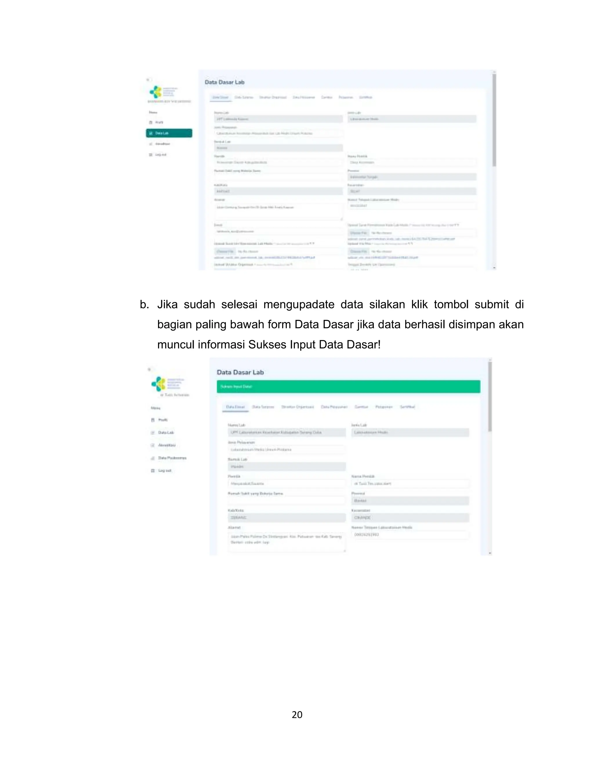 Petunjuk Teknis Data Fasyankes Online DFO | PDF