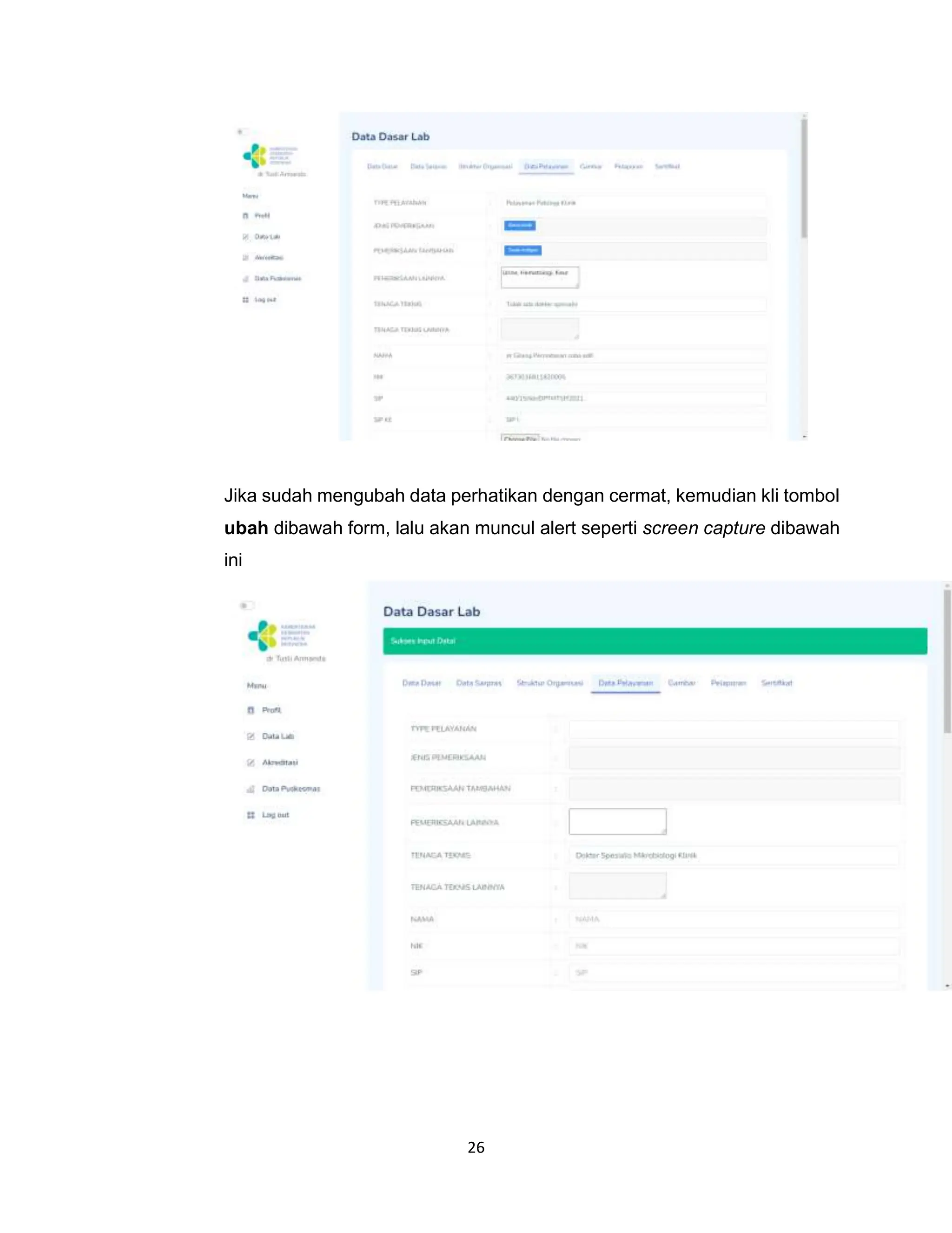 Petunjuk Teknis Data Fasyankes Online DFO | PDF