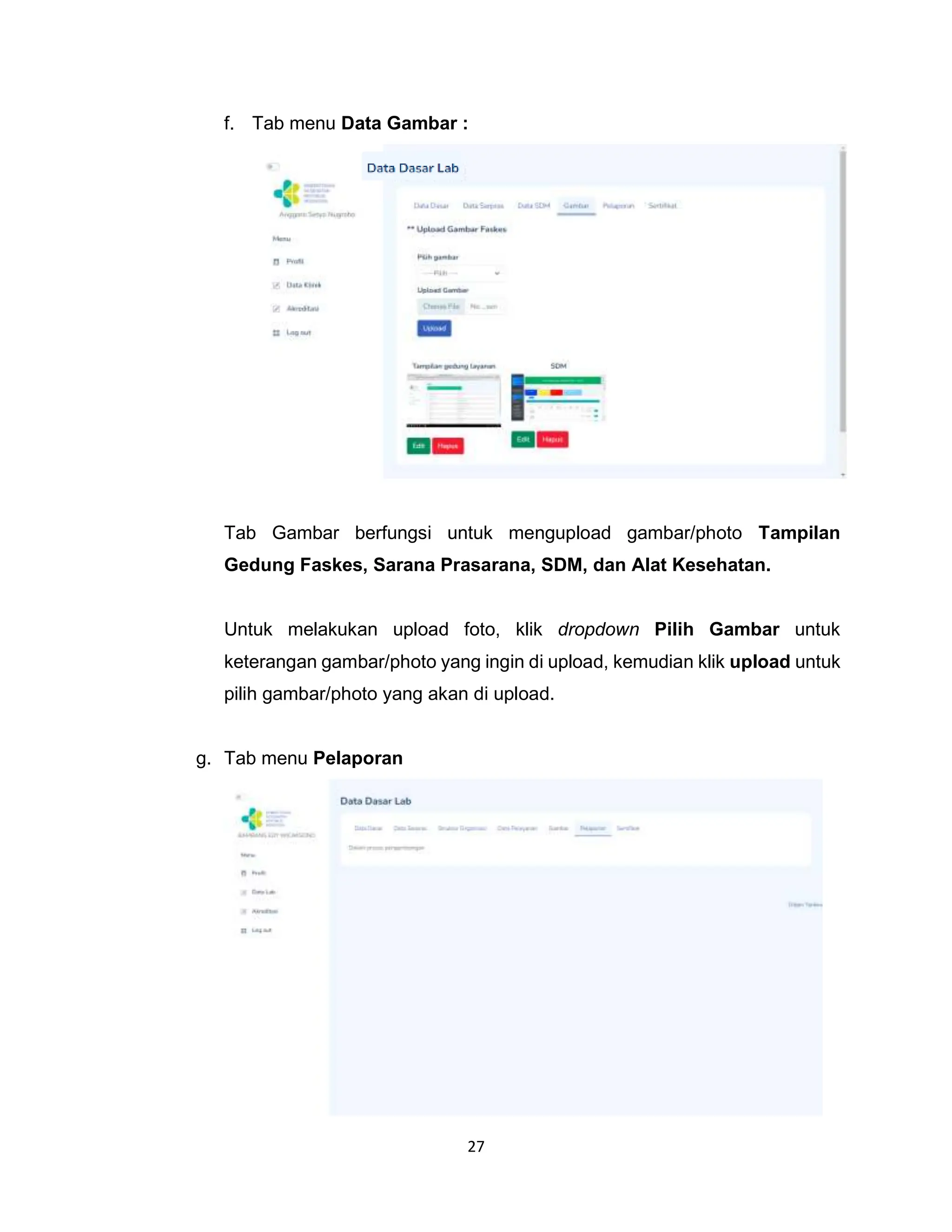 Petunjuk Teknis Data Fasyankes Online DFO | PDF