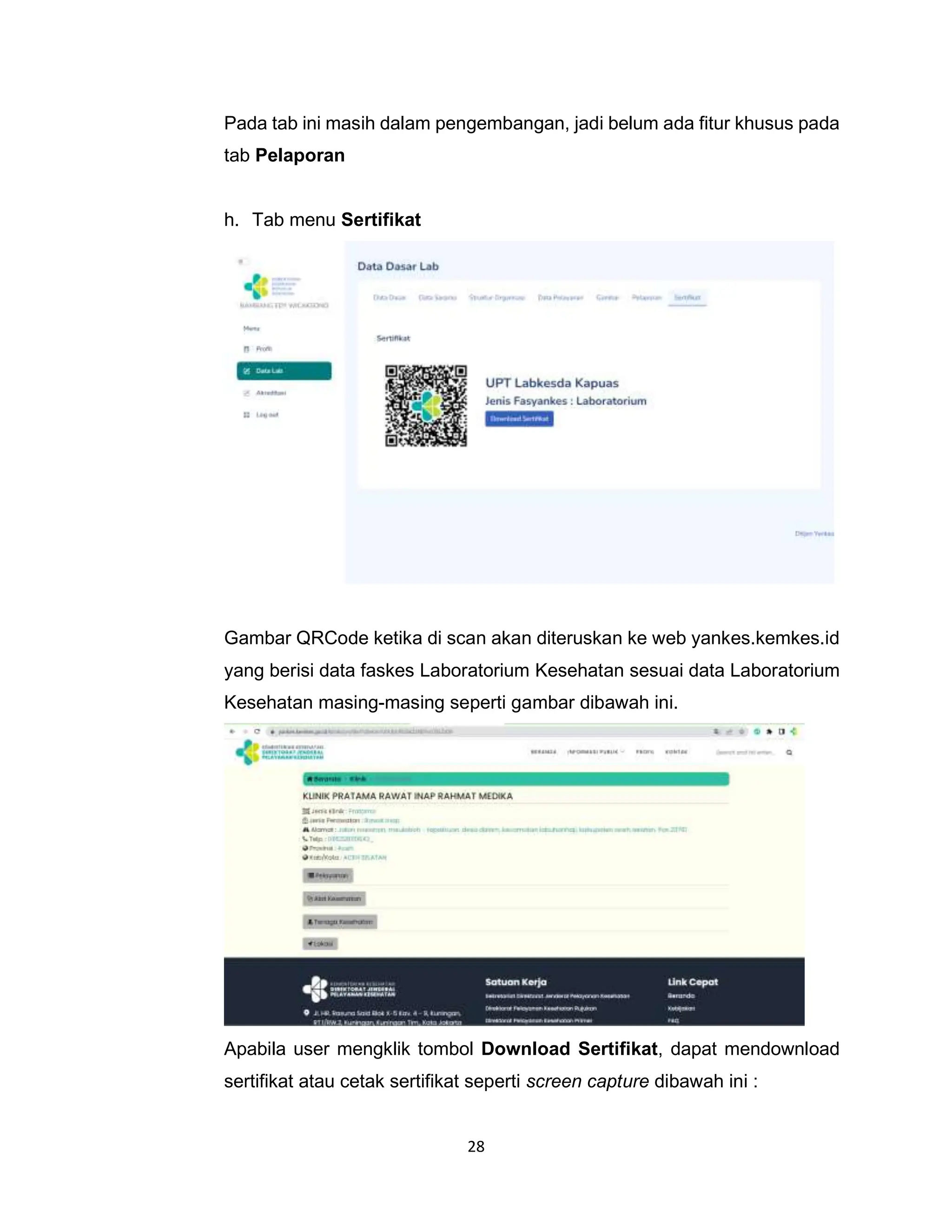 Petunjuk Teknis Data Fasyankes Online DFO | PDF