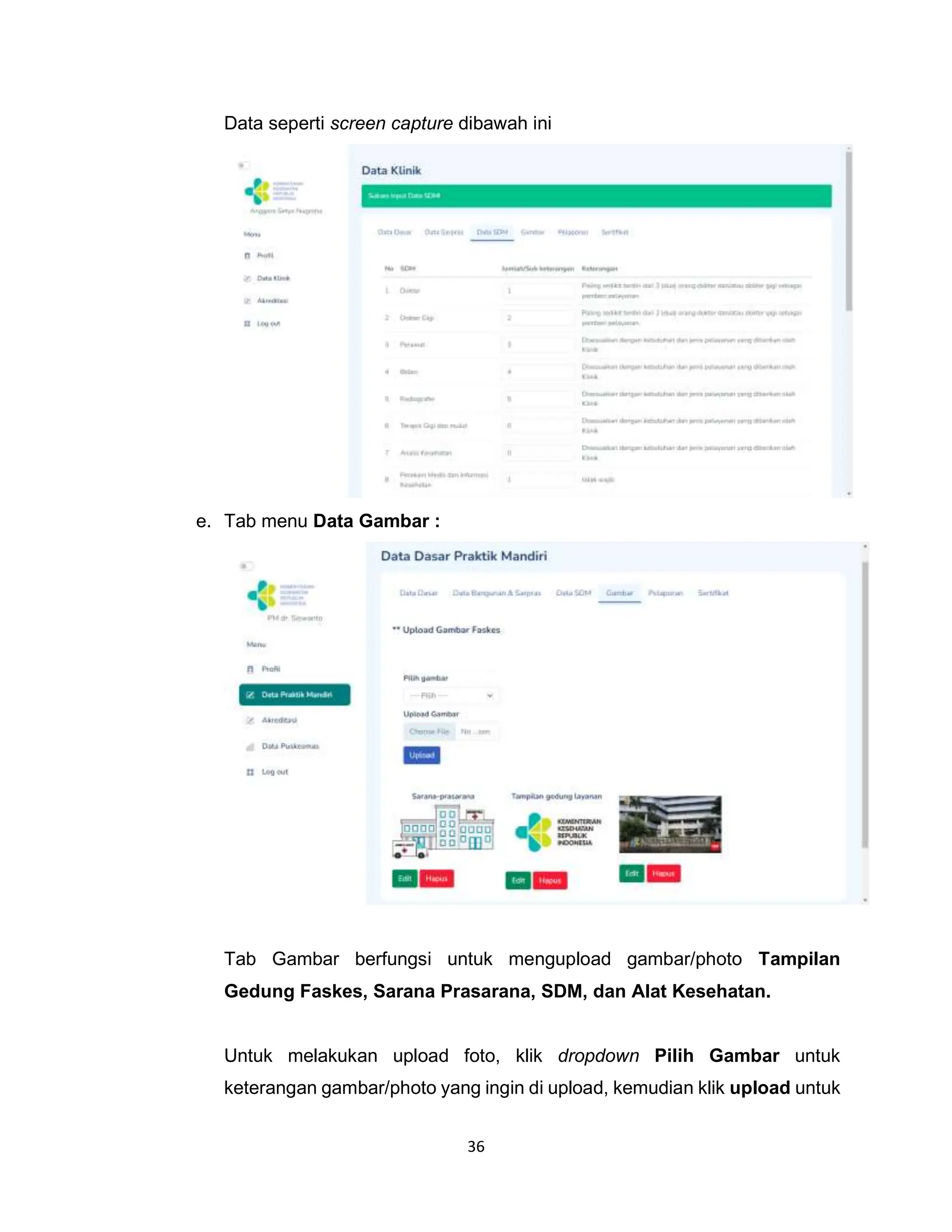 Petunjuk Teknis Data Fasyankes Online DFO | PDF