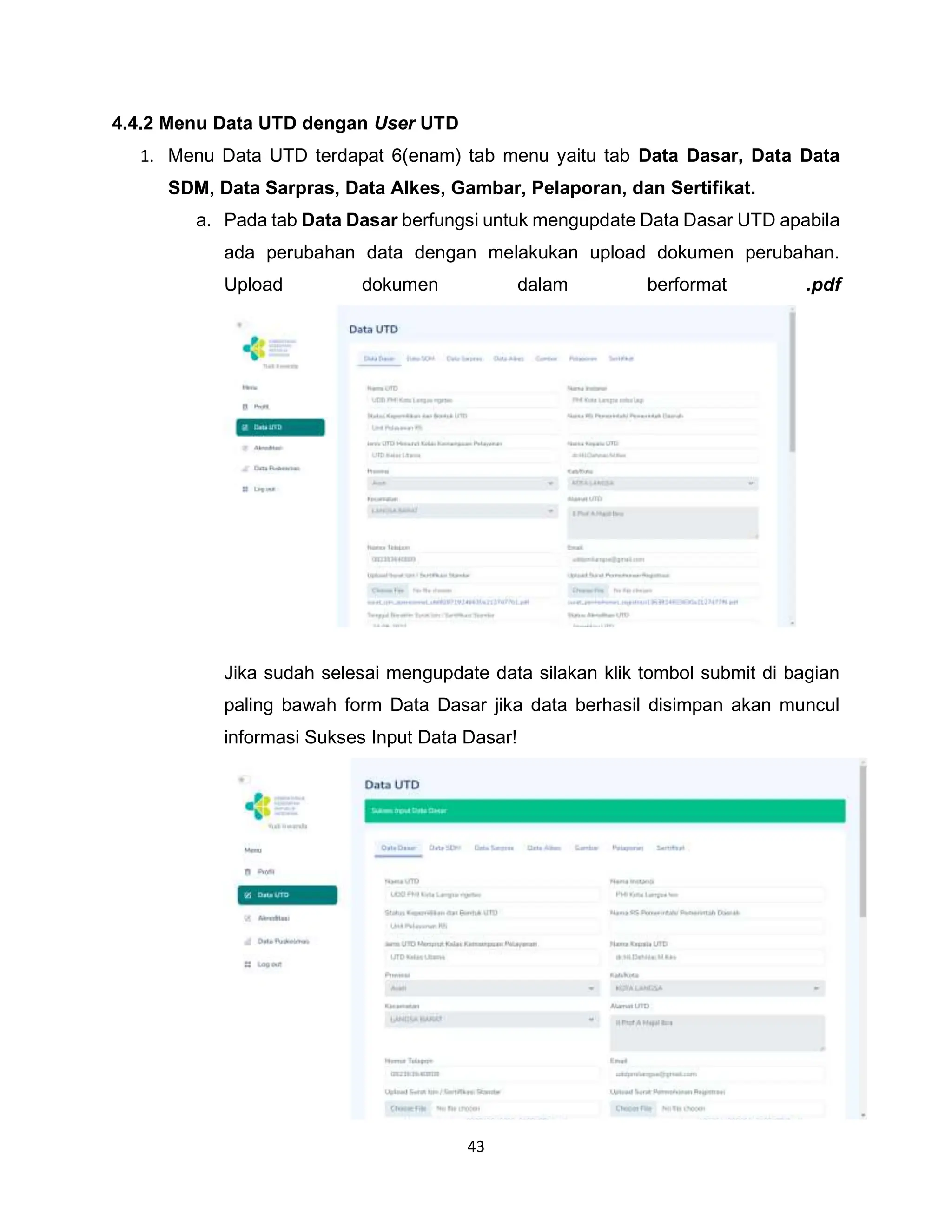 Petunjuk Teknis Data Fasyankes Online DFO | PDF