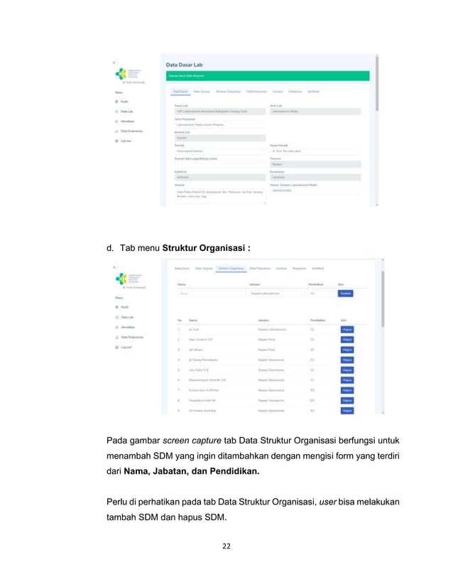 Petunjuk Teknis Data Fasyankes Online DFO | PDF
