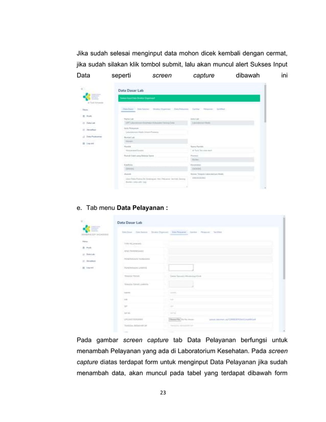 Petunjuk Teknis Data Fasyankes Online DFO | PDF