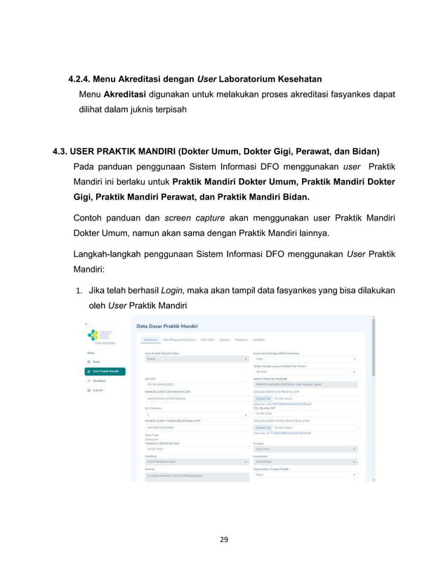 Petunjuk Teknis Data Fasyankes Online DFO | PDF