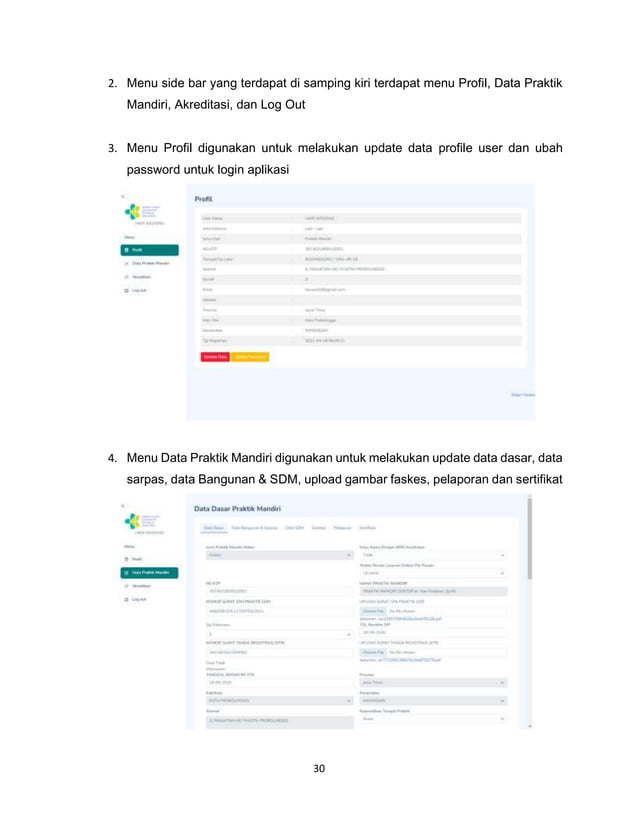 Petunjuk Teknis Data Fasyankes Online DFO | PDF